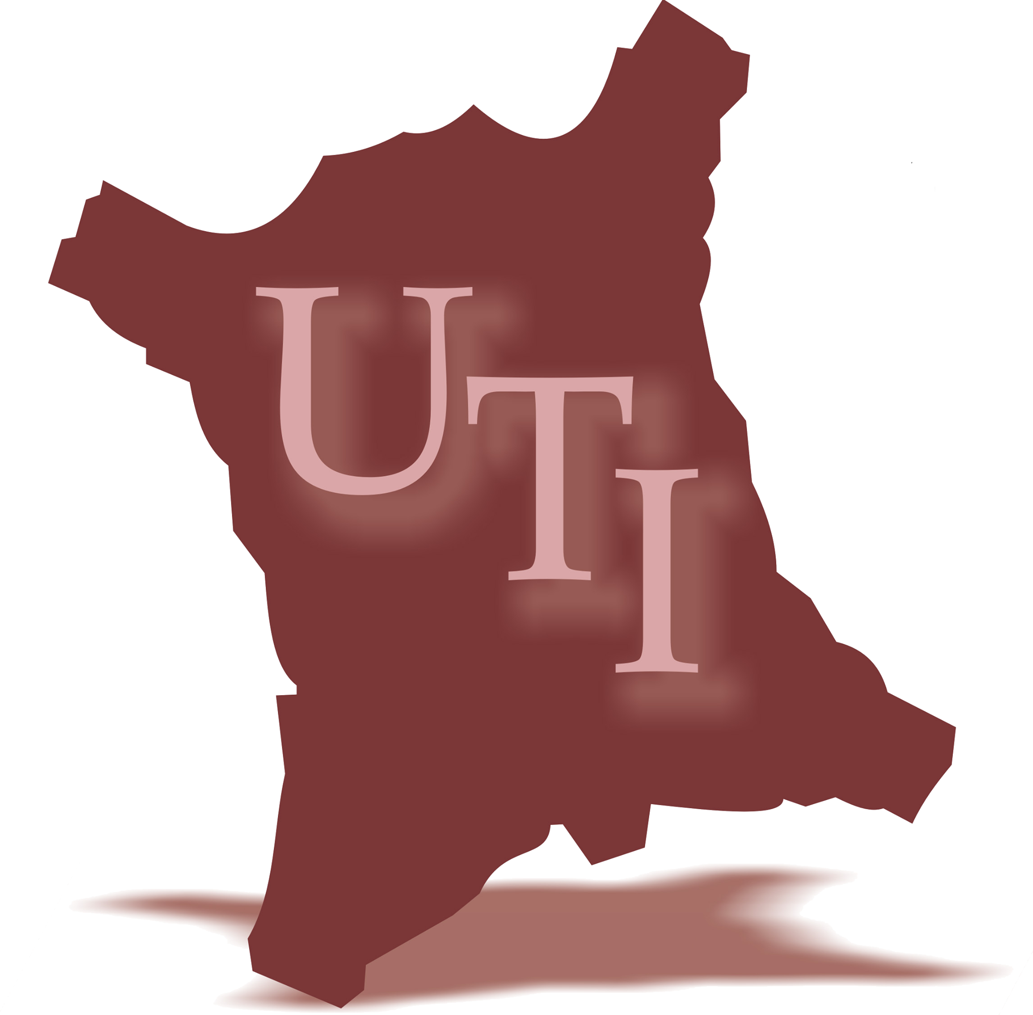 Company Details Unique Tanning Industries Pvt Ltd