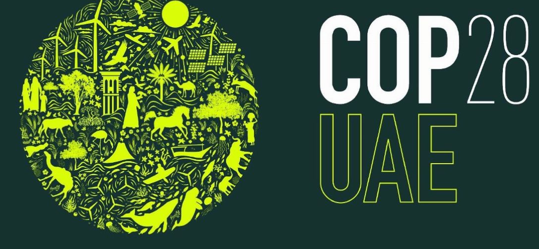 COP28 - Leather Manifesto 19th October 2023 - Sustainable Leather ...